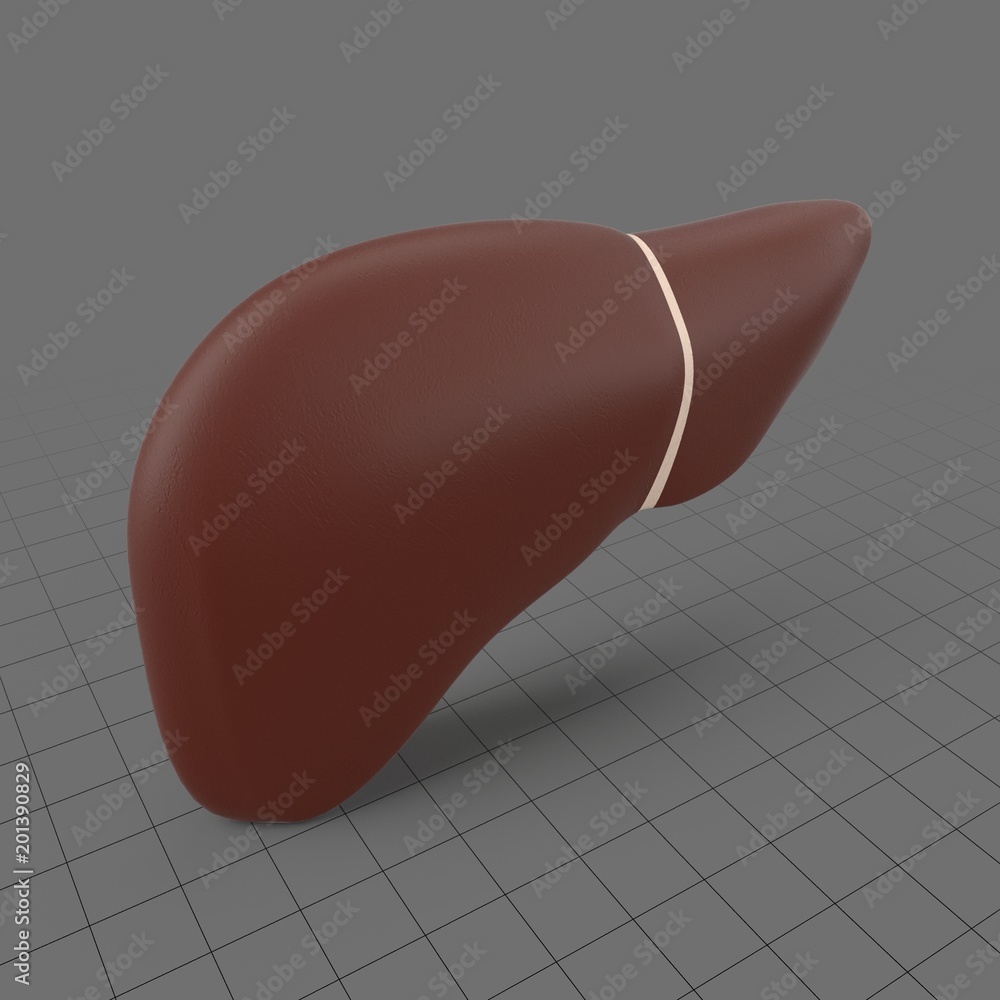 Stylized human liver Stock 3D asset | Adobe Stock