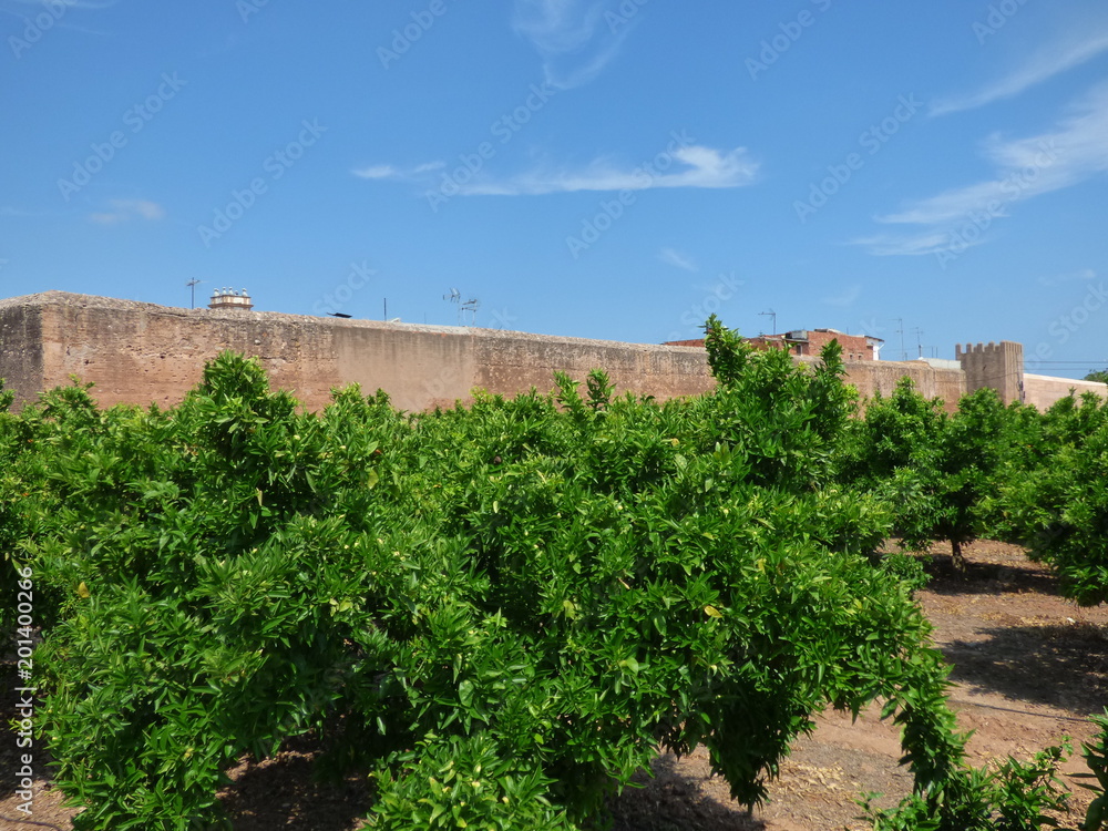Mascarell (Castellon,España) conocido también como Murallas de ...