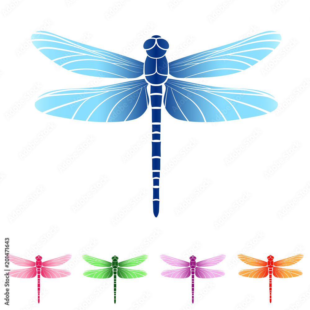 Vector illustration. Set of beautiful colorful dragonflies. Isolated ...