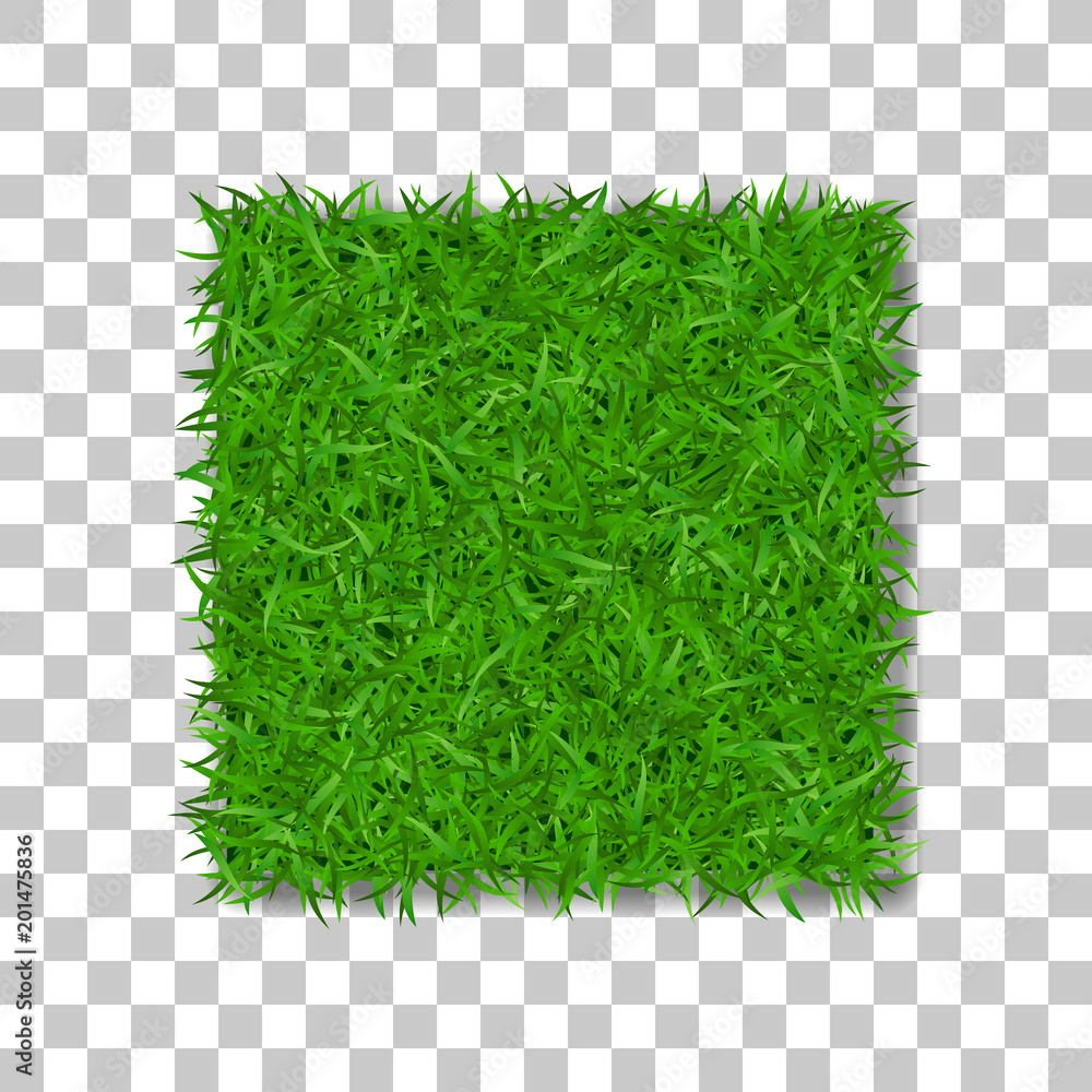 Grass square 3D. Beautiful green grassy field, isolated on white ...
