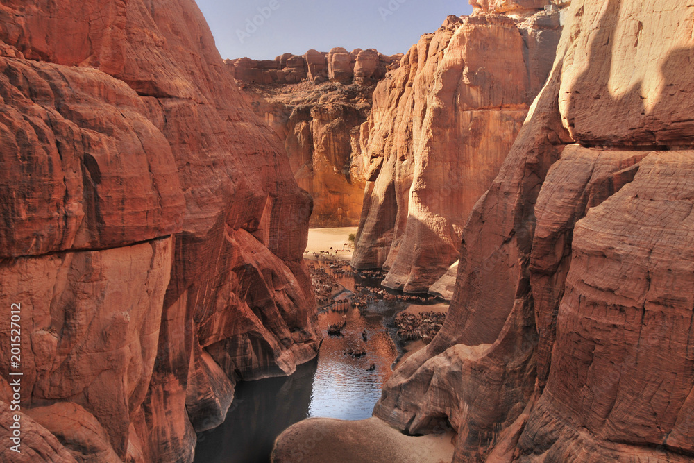 The Guelta d'Archei located in the Ennedi Plateau, in north-eastern ...