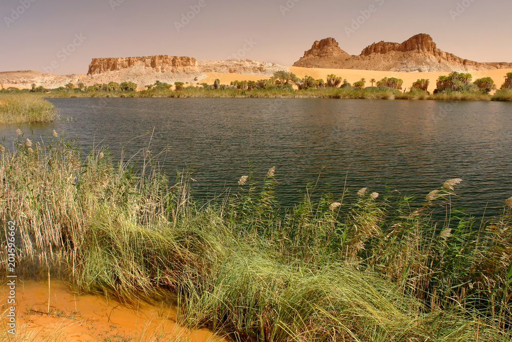 Fresh Water Lake Bokou in Ouniaga Serir series of lakes in the Sahara ...