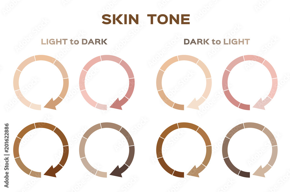 skin tone index color . infographic vector Stock Vector | Adobe Stock