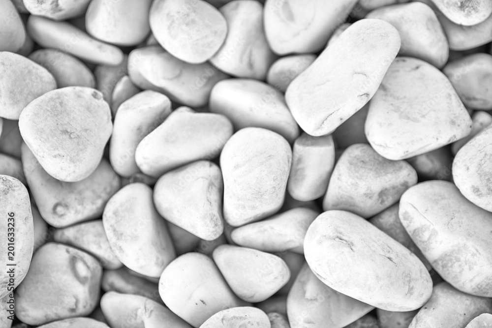 Naturally polished white rock pebbles background. white stones in ...