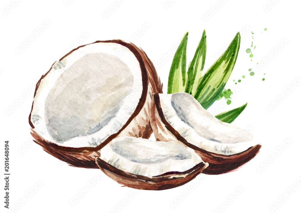 Broken Coconut Painting