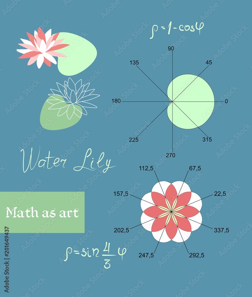 Image of a water lily with the help of mathematical functions. Graphs ...