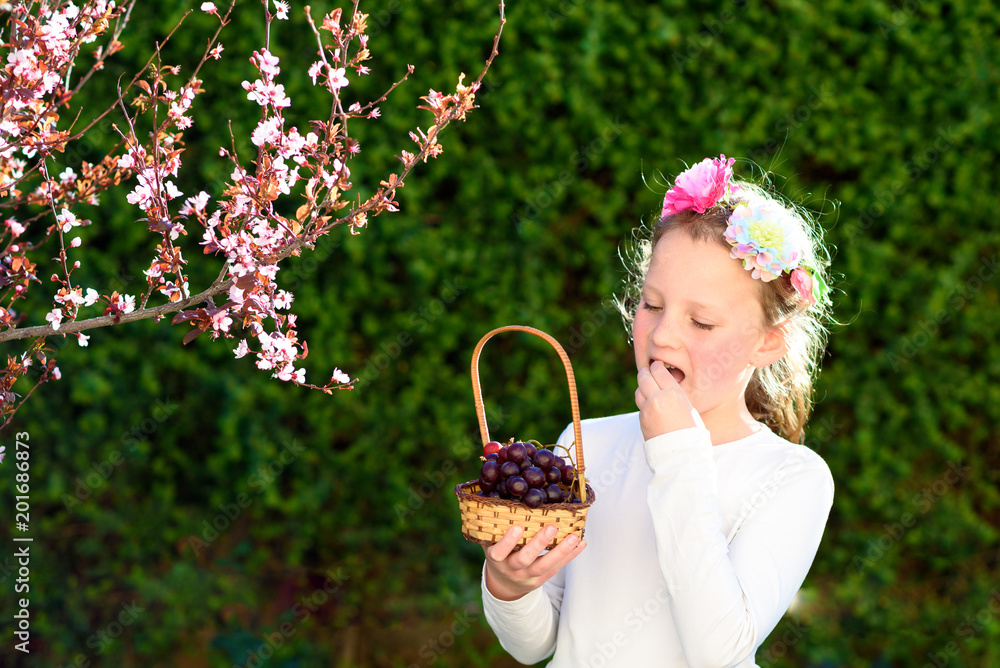 Little girl with basket of the first fruits during the Jewish holiday ...