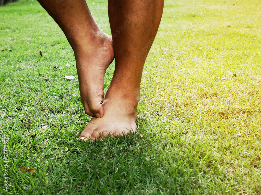 Itching from foot fungus on grass in the park. Stock Photo | Adobe Stock