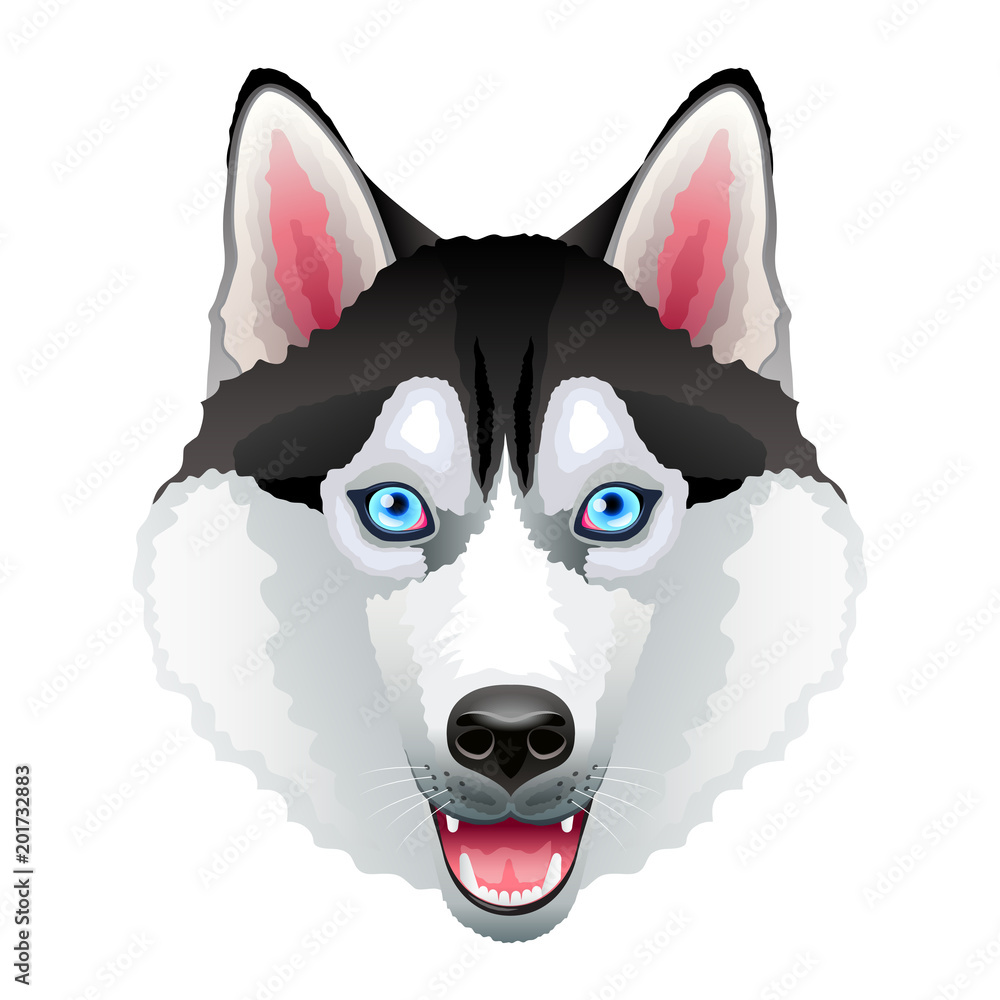 Husky dog portrait isolated on white vector Stock Vector | Adobe Stock