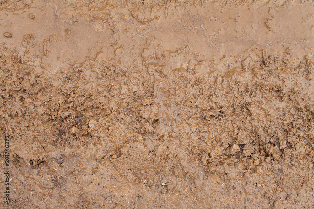 Texture of brown mud. Slobber desktop image. Brown muddy road backdrop ...