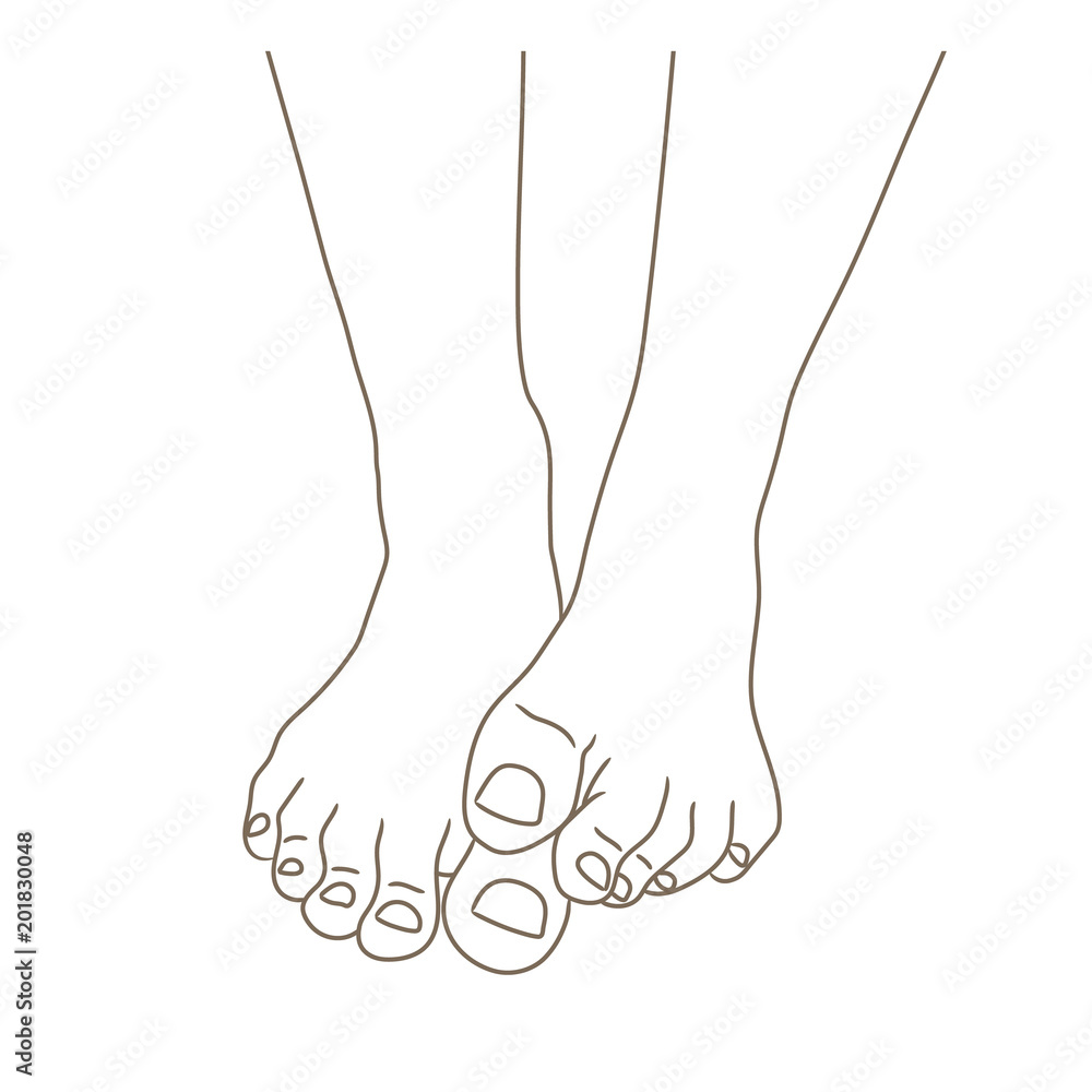 Foot Front View Drawing