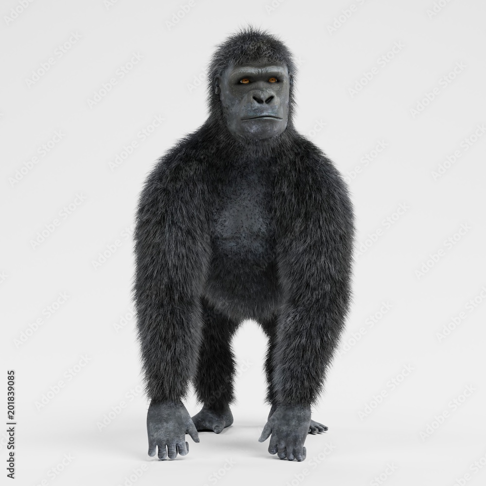 Realistic 3d Render of Gorilla Stock Illustration | Adobe Stock