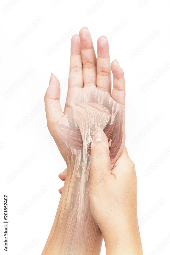 hand muscle pain Stock Photo | Adobe Stock
