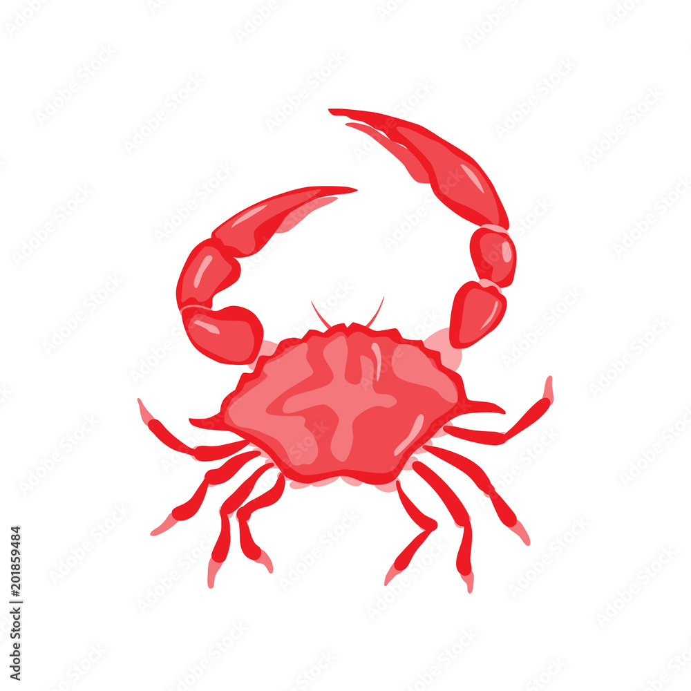Red crab vector illustration. Isolated object on white background ...
