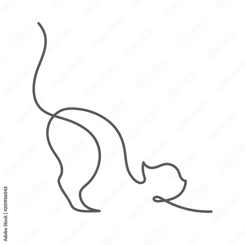 Cat Tail Drawing
