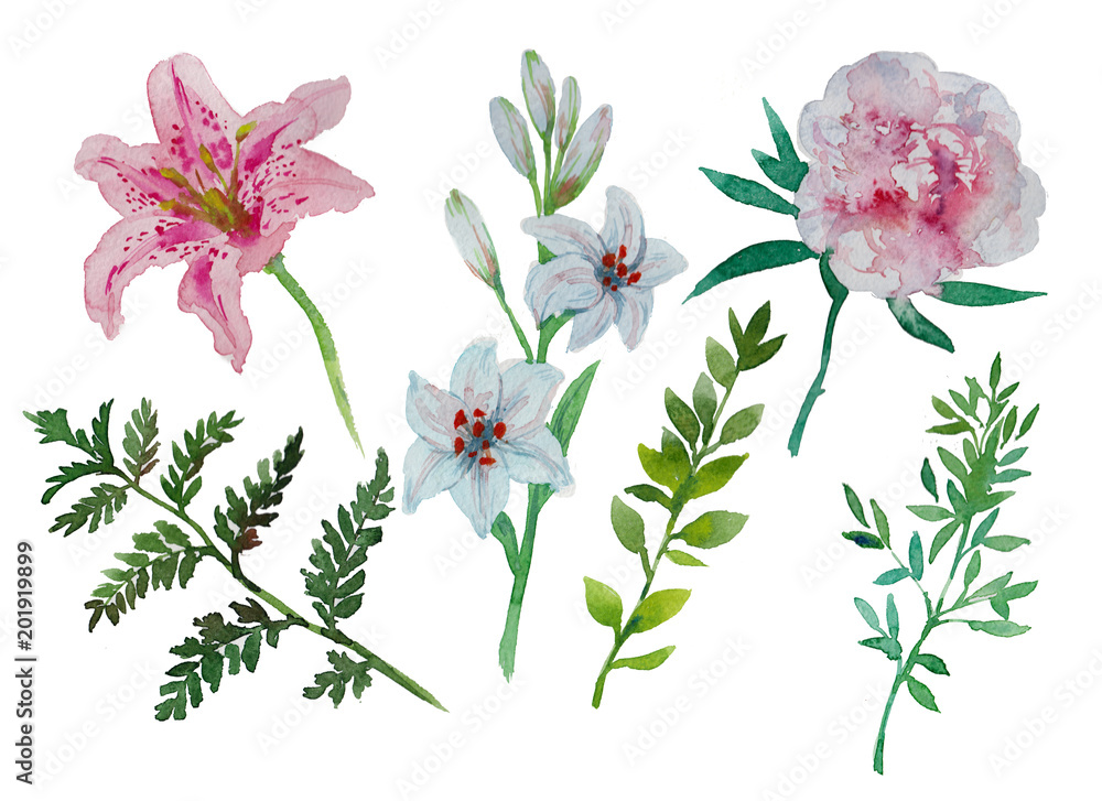 Set with watercolor peony lily fern spring summer collection with ...