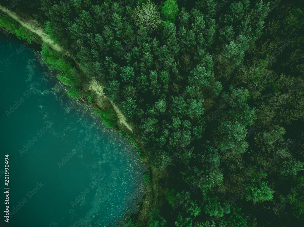 Wild pond curve with forest border,aerial from above Stock Photo ...