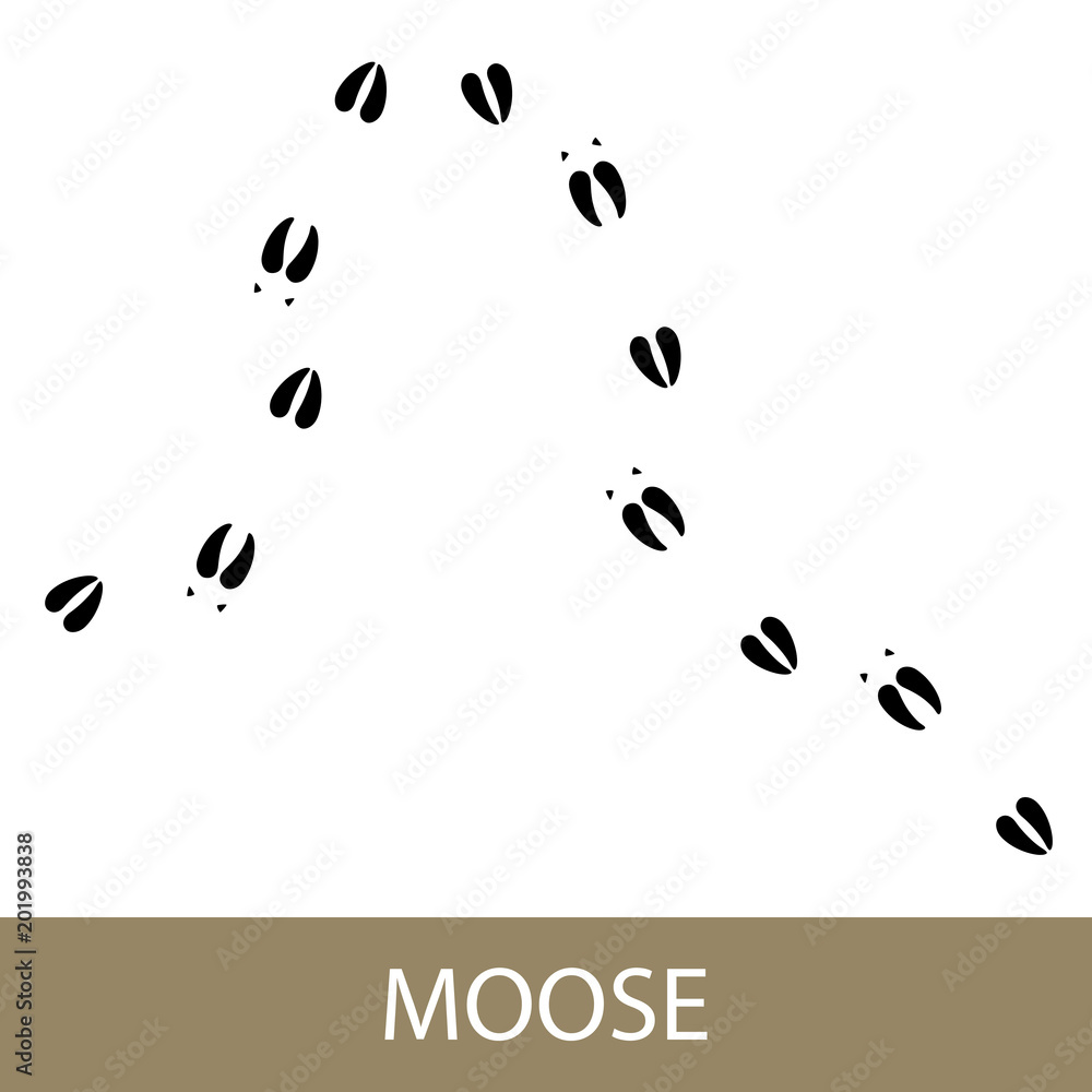 Footprints of Forest Animal, Traces of a Moose , Vector Illustration ...