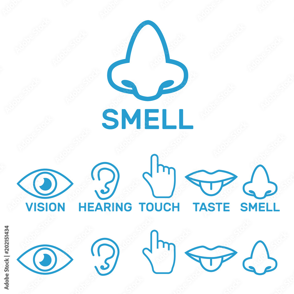 Icon human senses: vision, smell, hearing, touch, taste. Icons sense ...
