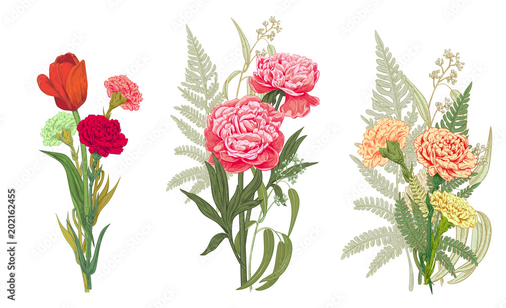 How To Draw A Red Fern