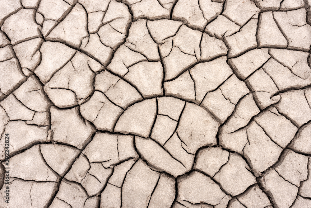 Dried out soil with cracks when dry Stock-Foto | Adobe Stock