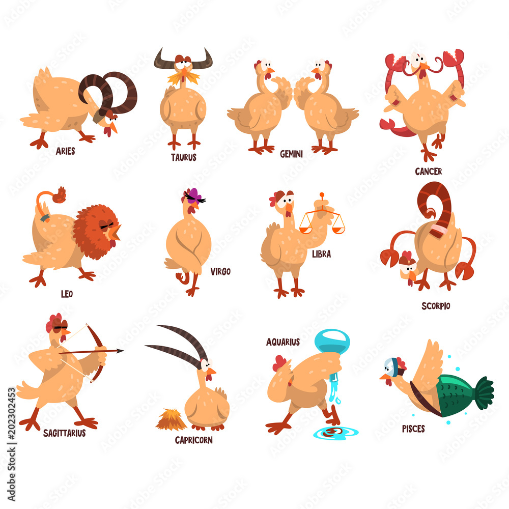 Funny farm chicken showing 12 Zodiac signs. Domestic bird in different ...