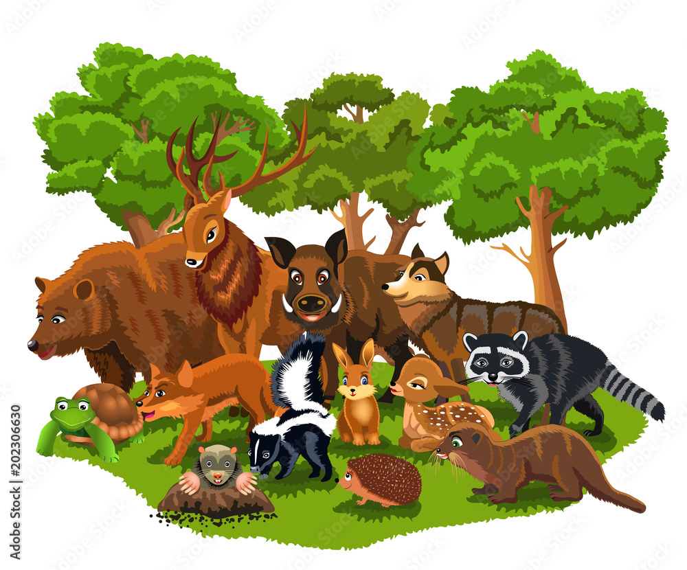 forest animals like bear, wolf, fox, rabbit, squirrel, deer, skunk ...