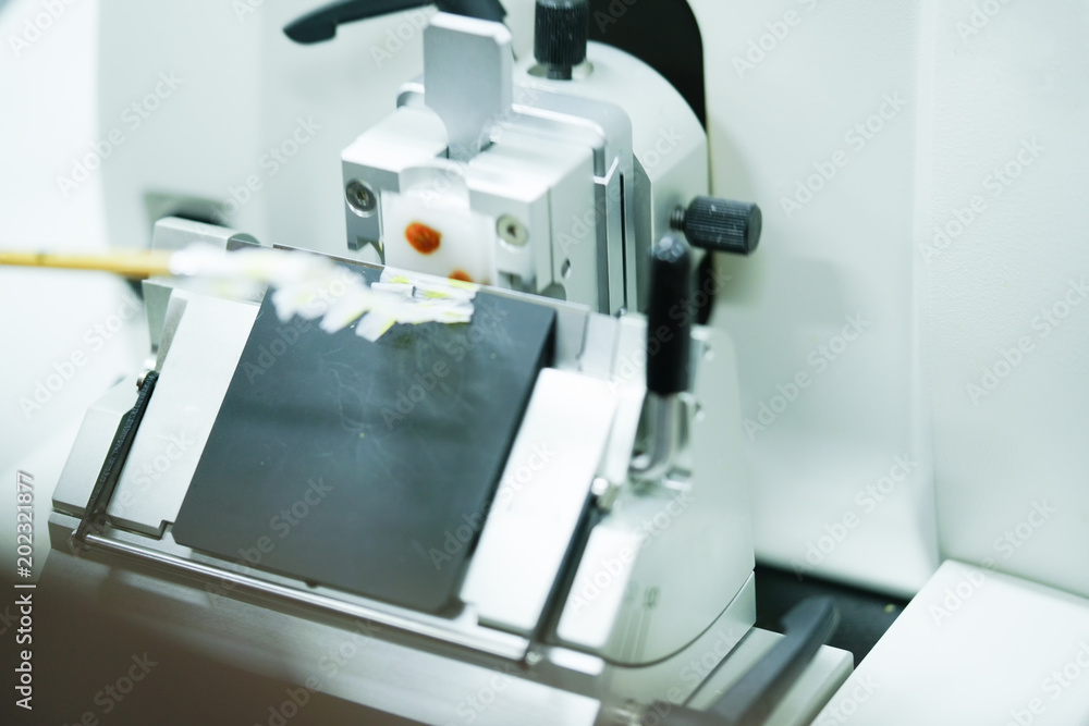 Rotary Microtome Section for diagnosis in pathology make microscope ...