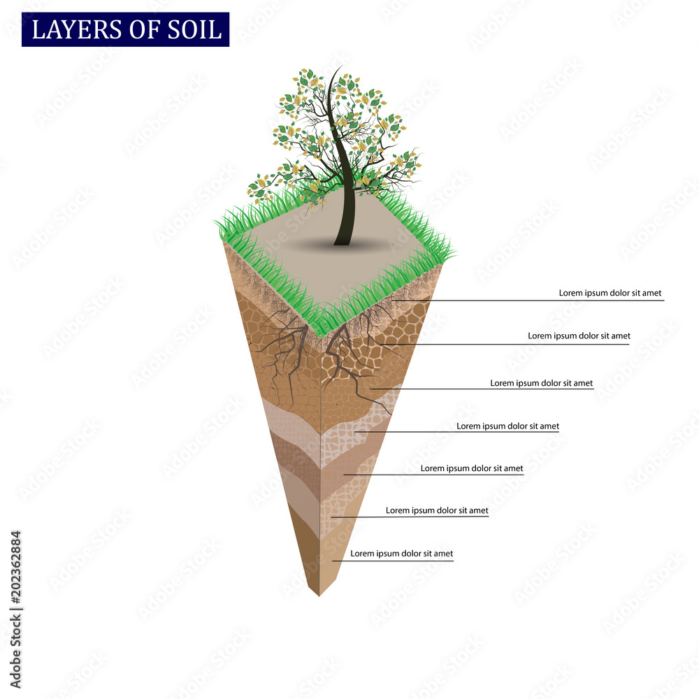 Soil Profile and Soil horizons. Piece of land with green grass and ...