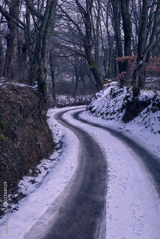 Twisted road in winter evening. Snowy crooked route trough forest ...