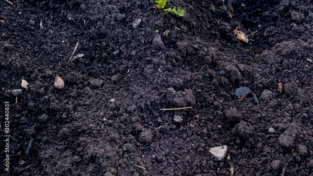 Dark Soil Texture