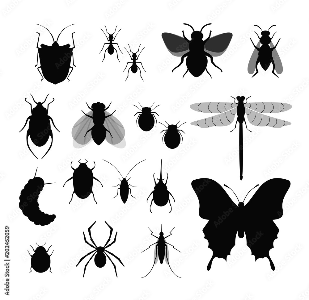Vector illustration set of Insects, collection of different insects ...