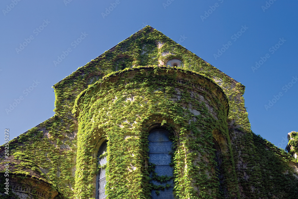 Poster Ivy-plaited ancient church apsis – Wall Art | UkPosters