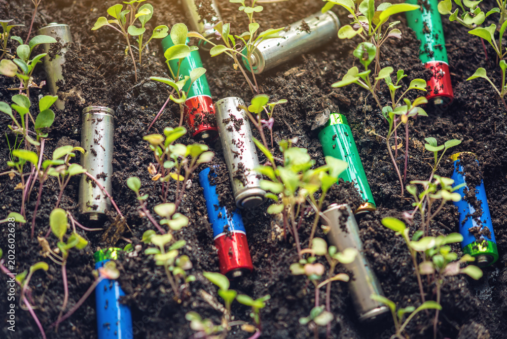 Used alkaline batteries lie in the soil where plants grow. Concept of ...