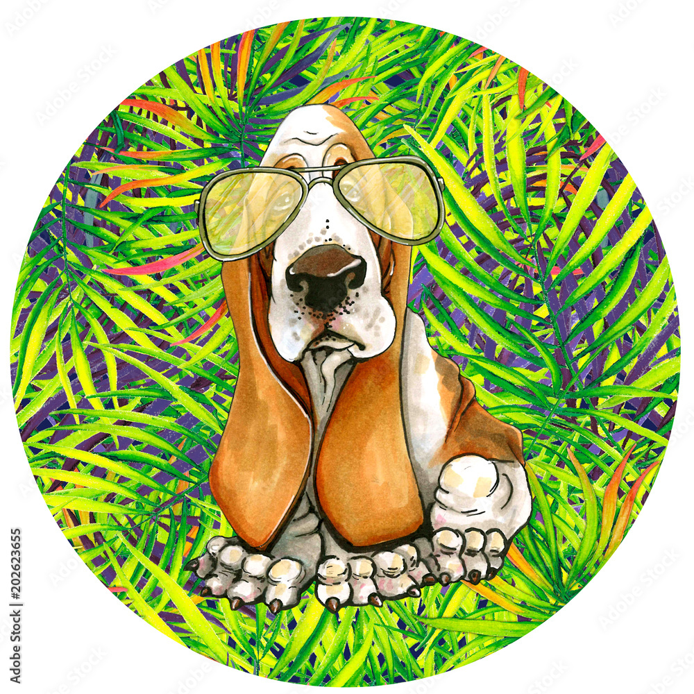 Basset in sunglasses in a round frame. palm leaves. Isolated on white ...