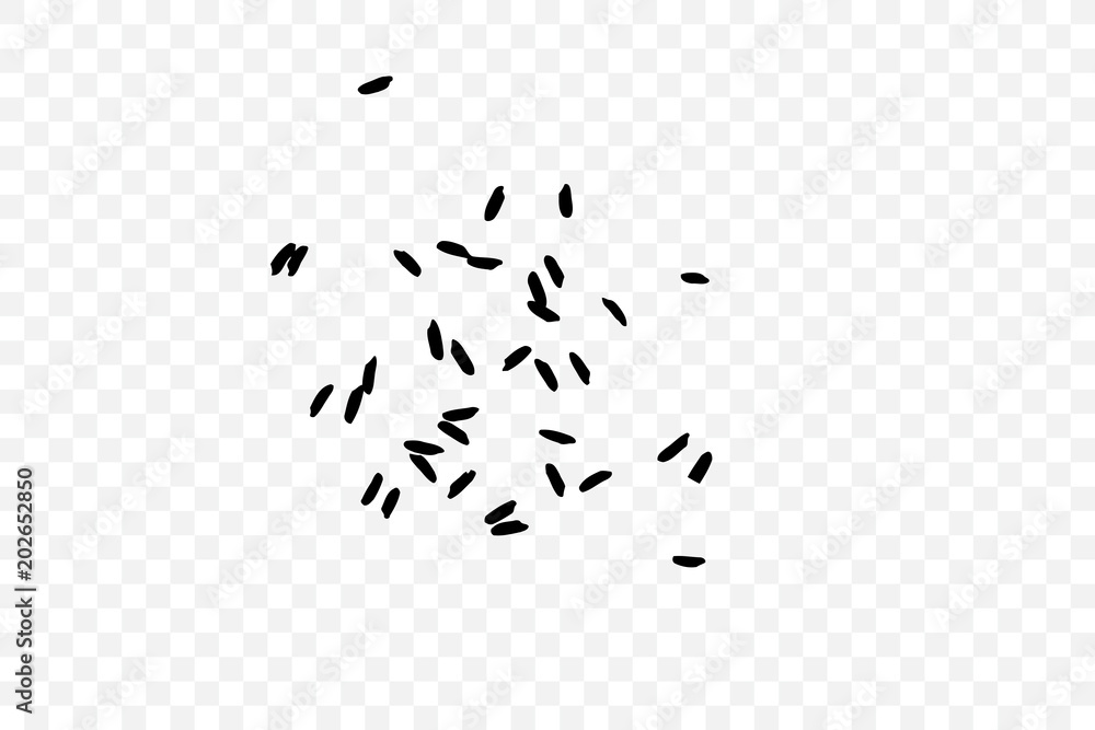 White rice in black on transparent background. Organic texture ...