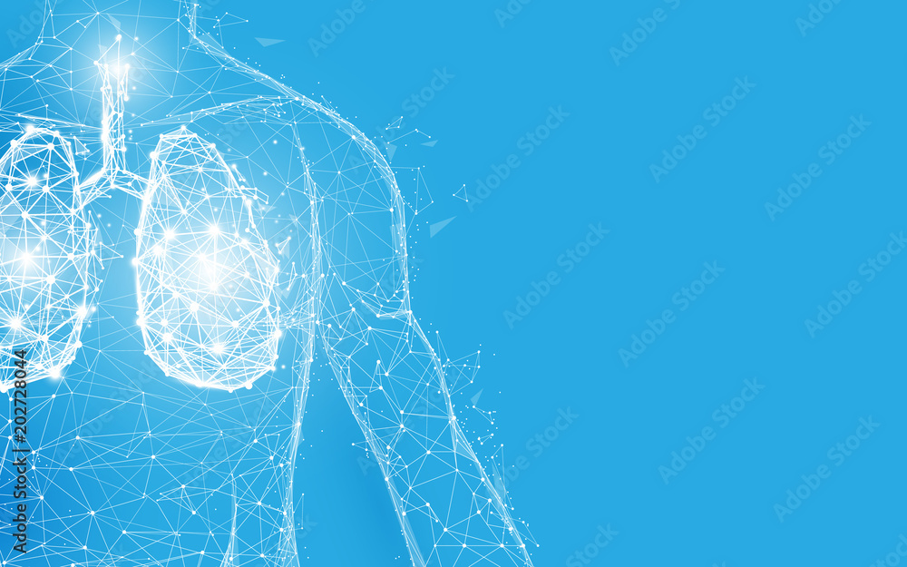 Human lungs anatomy form lines and triangles, point connecting network ...