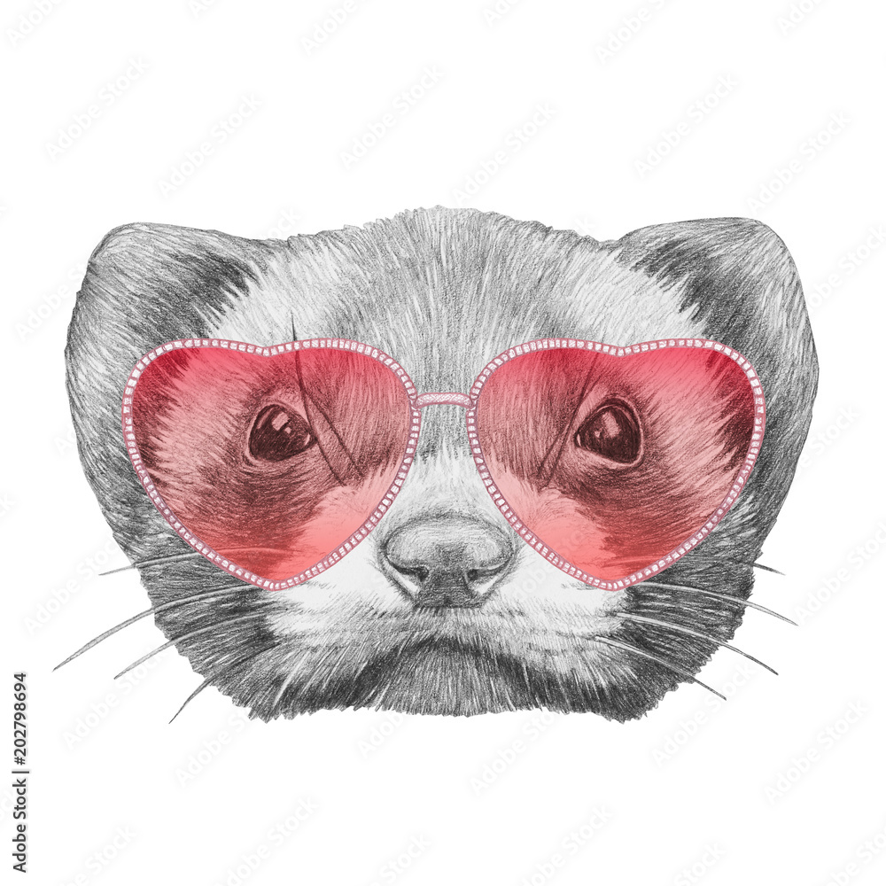 Least Weasel Drawing