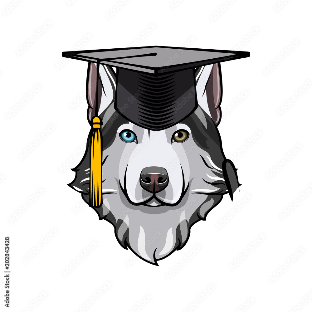 Siberian Husky graduate. Graduation cap hat. Dog breed. Vector. Stock ...