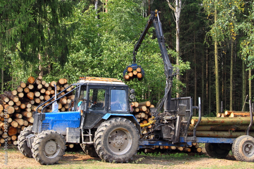 Timber harvesting, timber tractor with manipulator loads logs into the ...