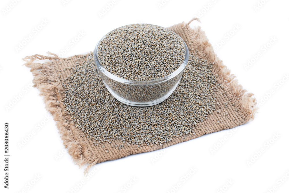Pearl Millet Seeds Also Know as Bajra, Bajri, Bulrush Millet or Indian ...