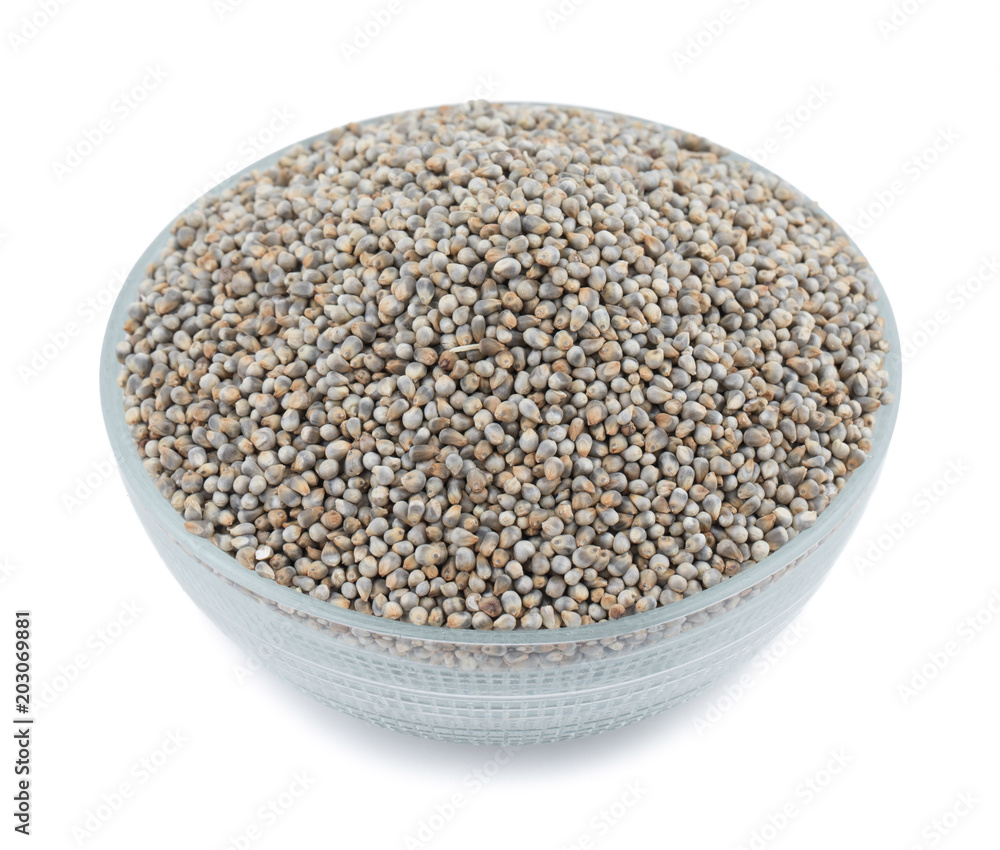 Pearl Millet Seeds Also Know as Bajra, Bajri, Bulrush Millet or Indian ...