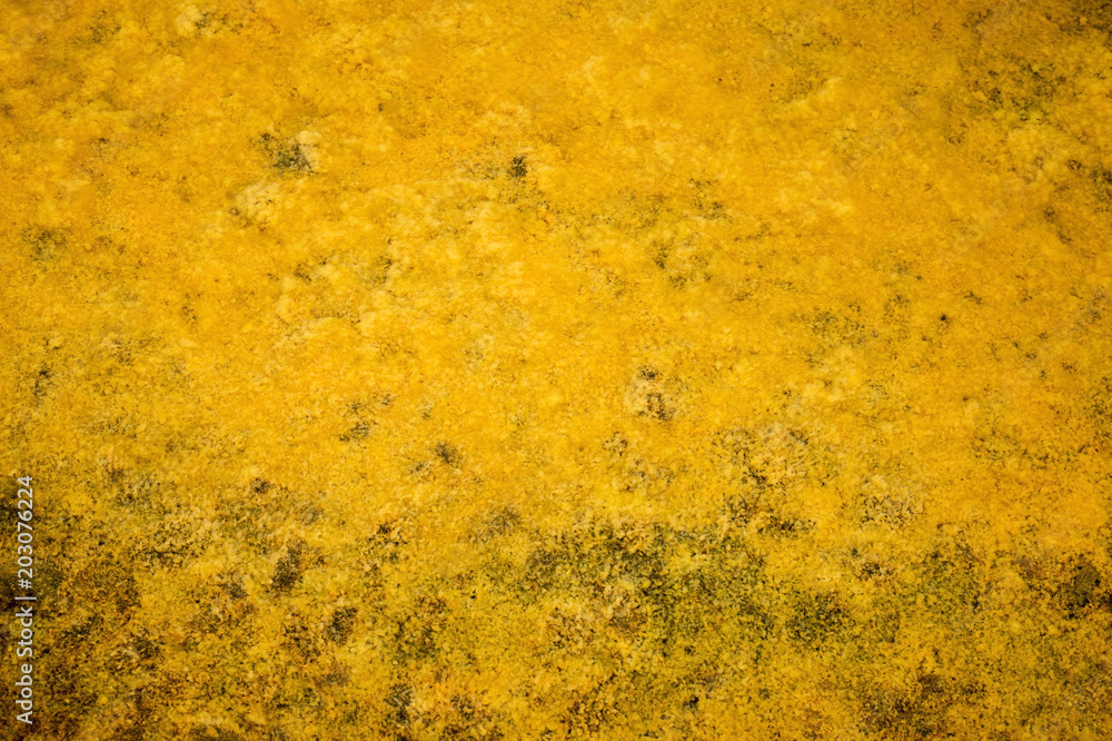 Texture abstraction of water and algae at the bottom of a drained pond ...