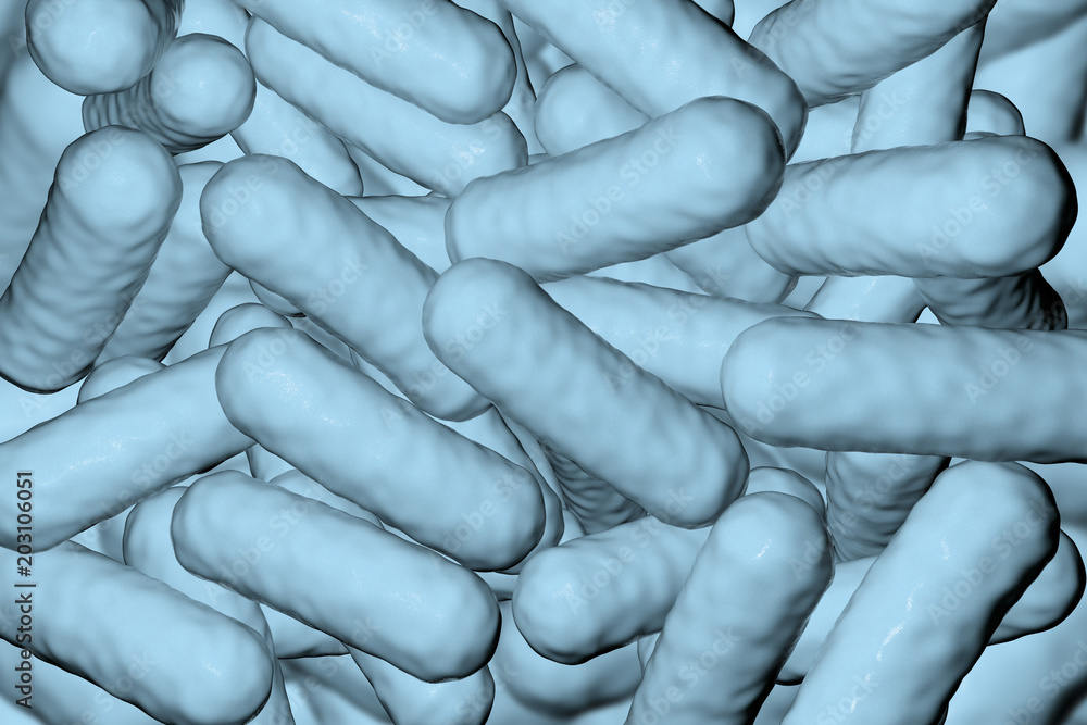 Morganella morganii, 3D illustration. Gram-negative bacteria that ...