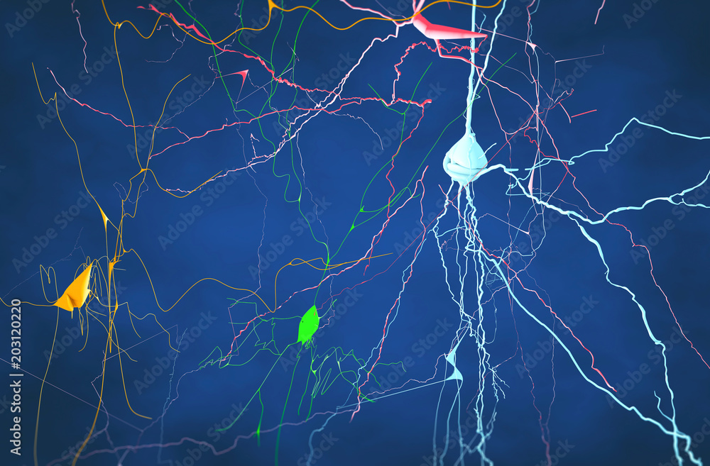 Cervello, neuroni, sinapsi, rete neurale, circuito di neuroni, malattie ...