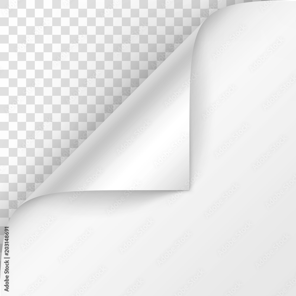 Vector Curled corner of White paper with shadow Mock up Close up ...