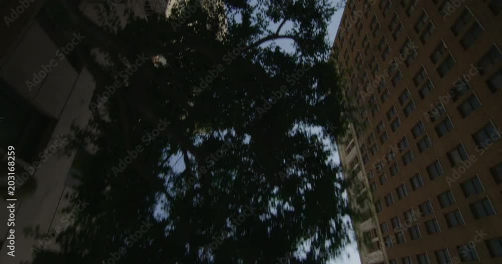 Video Stock Reflection Plate of a Driving Plate: This view shows only ...