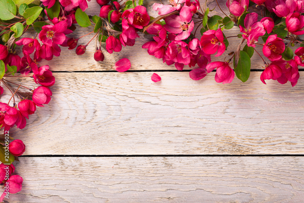 Rustic wooden background with spring flower border Stock Photo | Adobe ...
