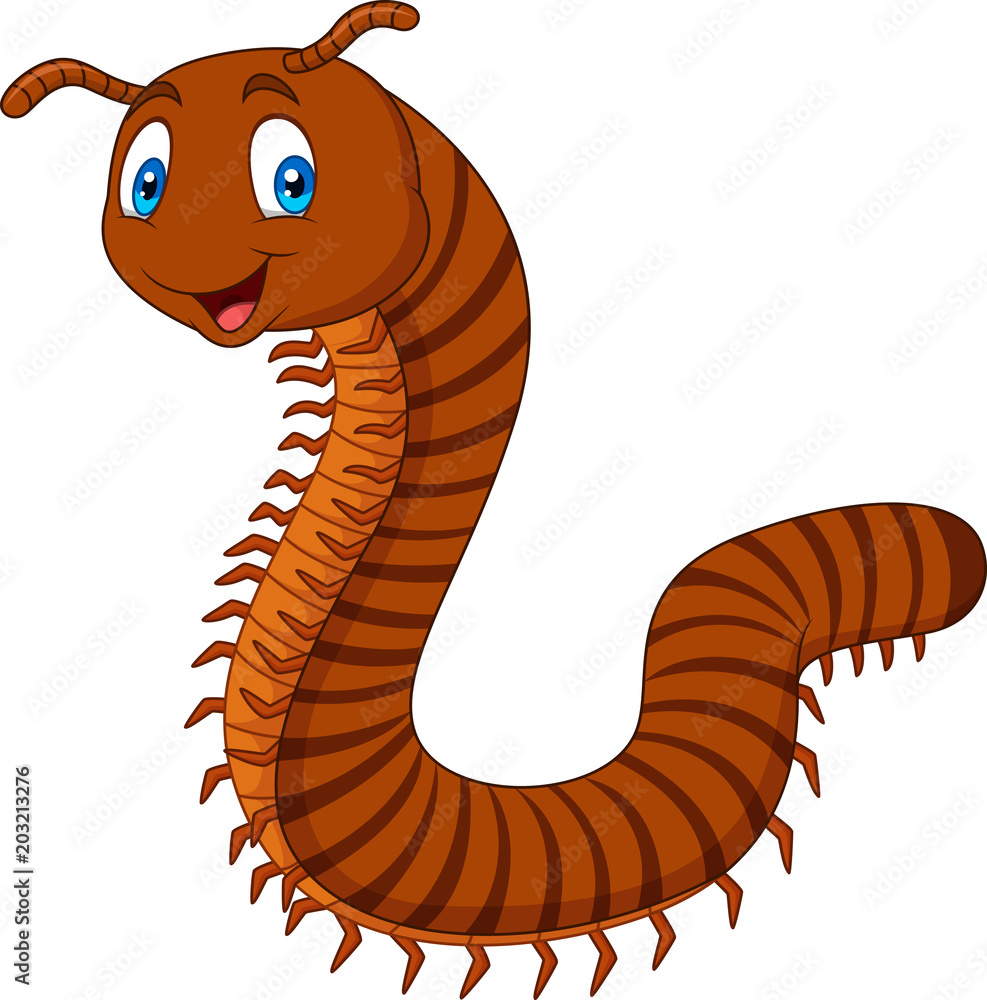 Cartoon happy millipedes Stock Vector | Adobe Stock