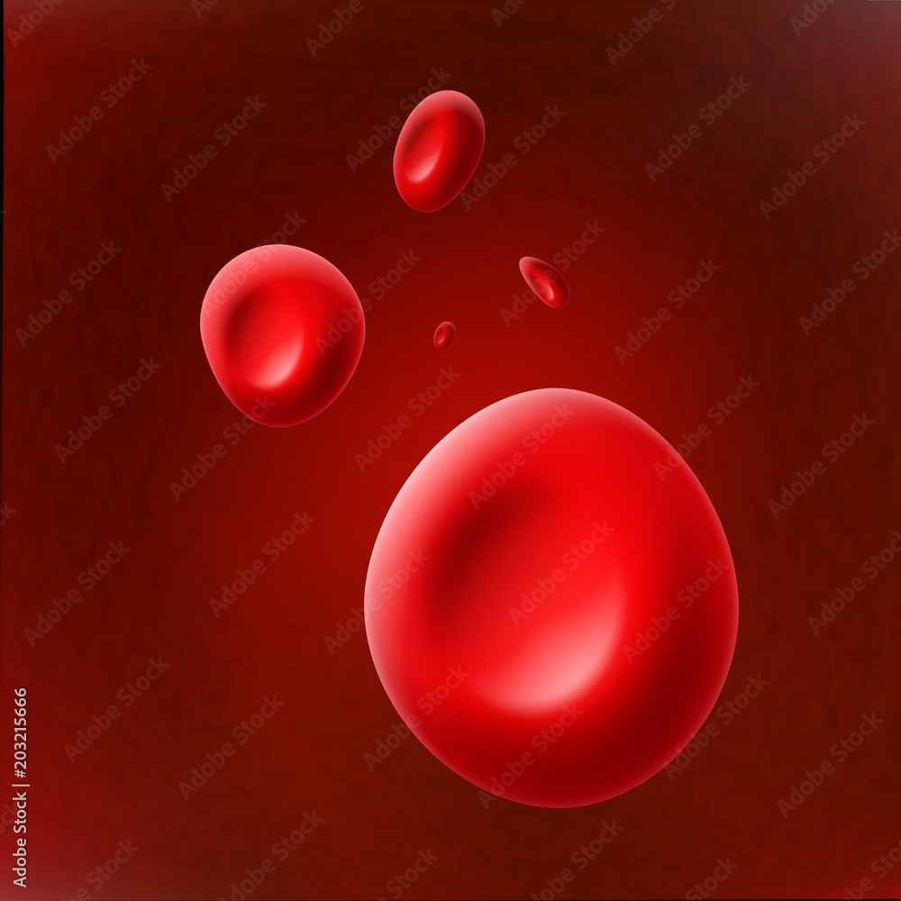 Red blood cells Stock Vector | Adobe Stock